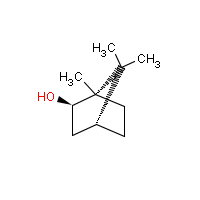 Index of /Common/gifs
